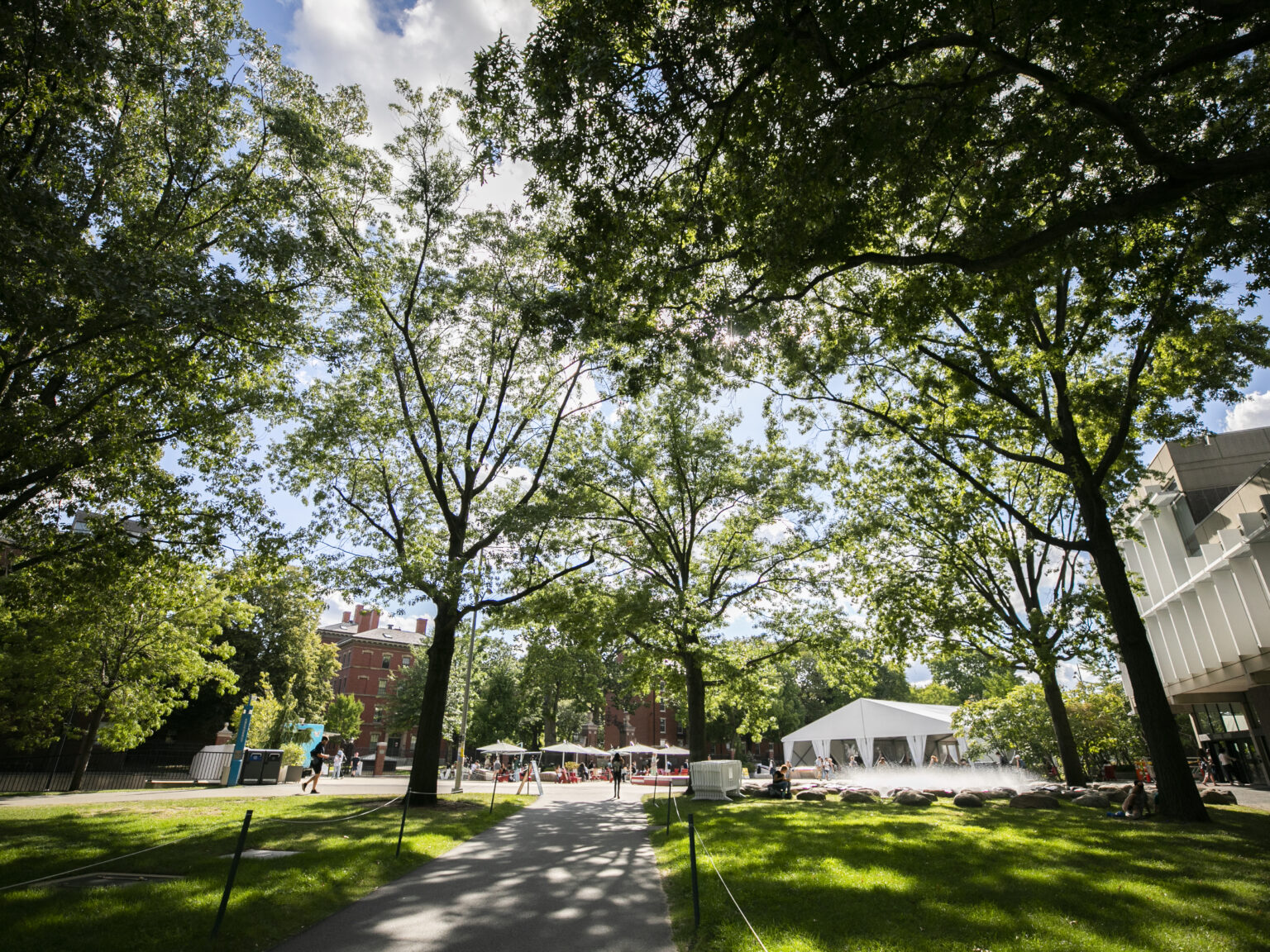 Vice Provost for Climate & Sustainability - Harvard University