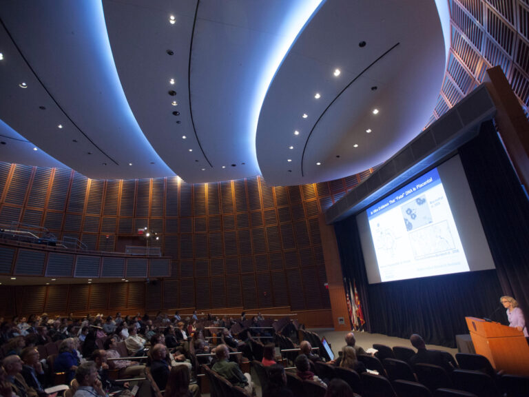 Harvard University President