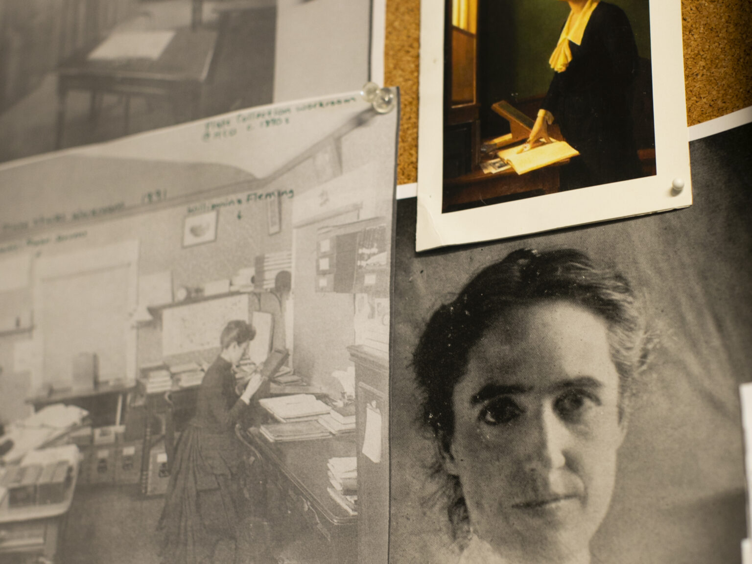 Tours - Harvard University