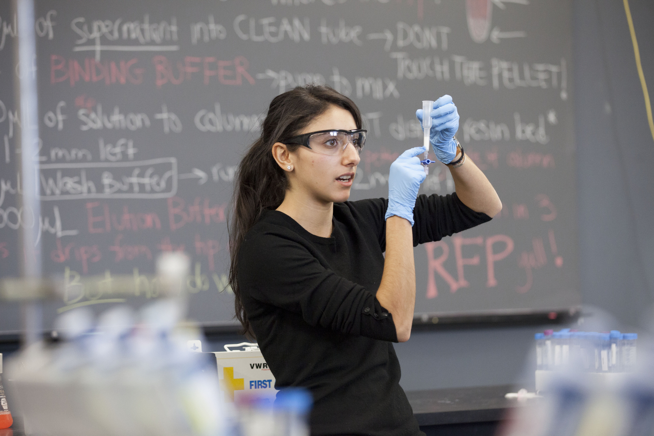 Harvard in the Community