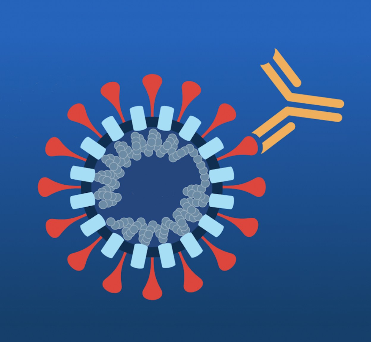 Vaccines - Harvard University