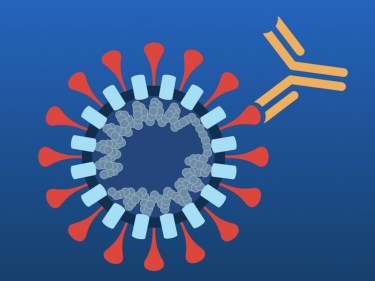 Vaccines - Harvard University