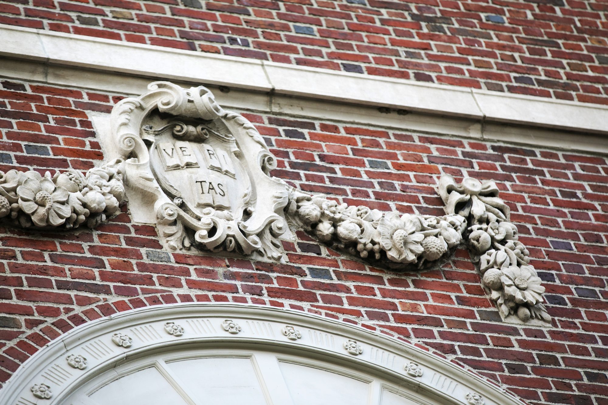 Molecular and Cellular Biology - Harvard University