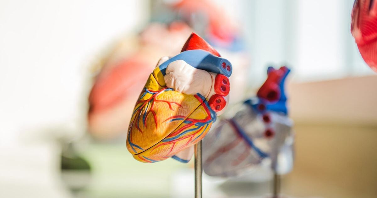 Heart Health - Harvard University