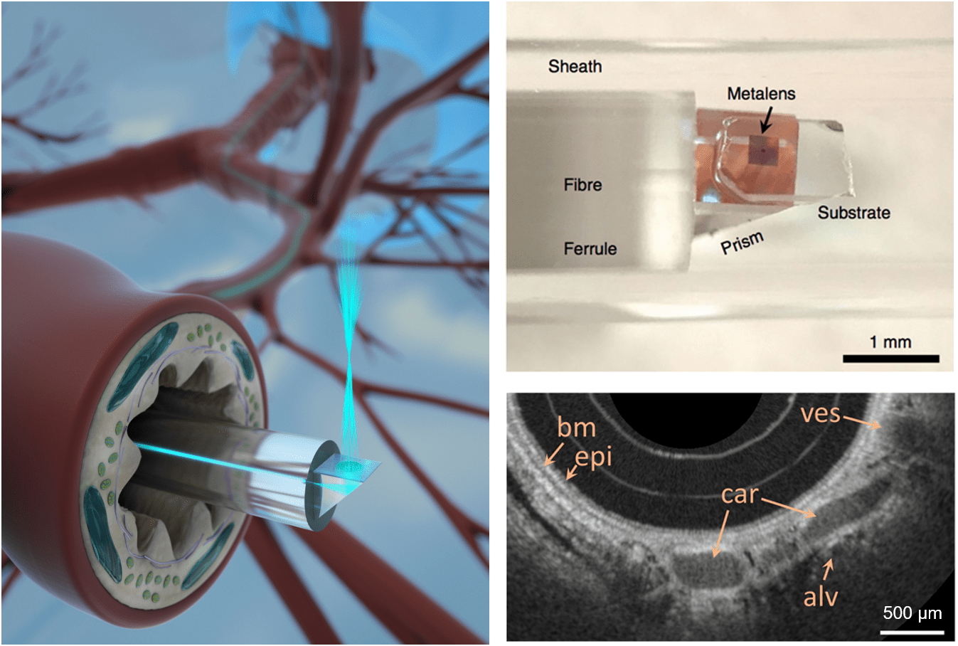 Quantum Everything - Harvard University