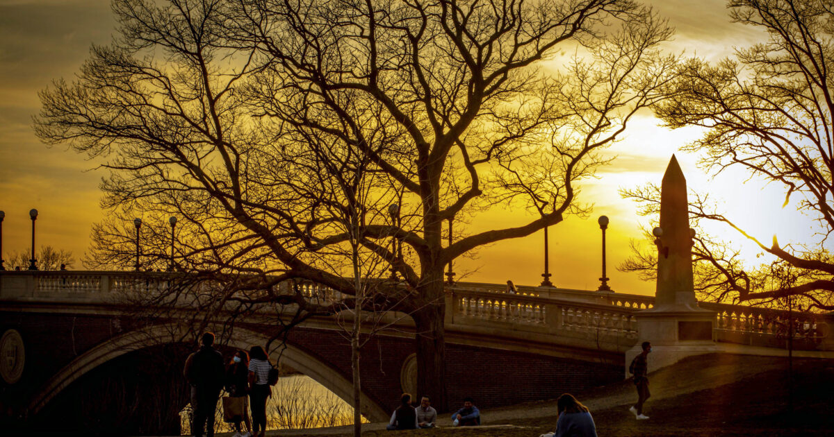 Looking back at 2021 - Harvard University