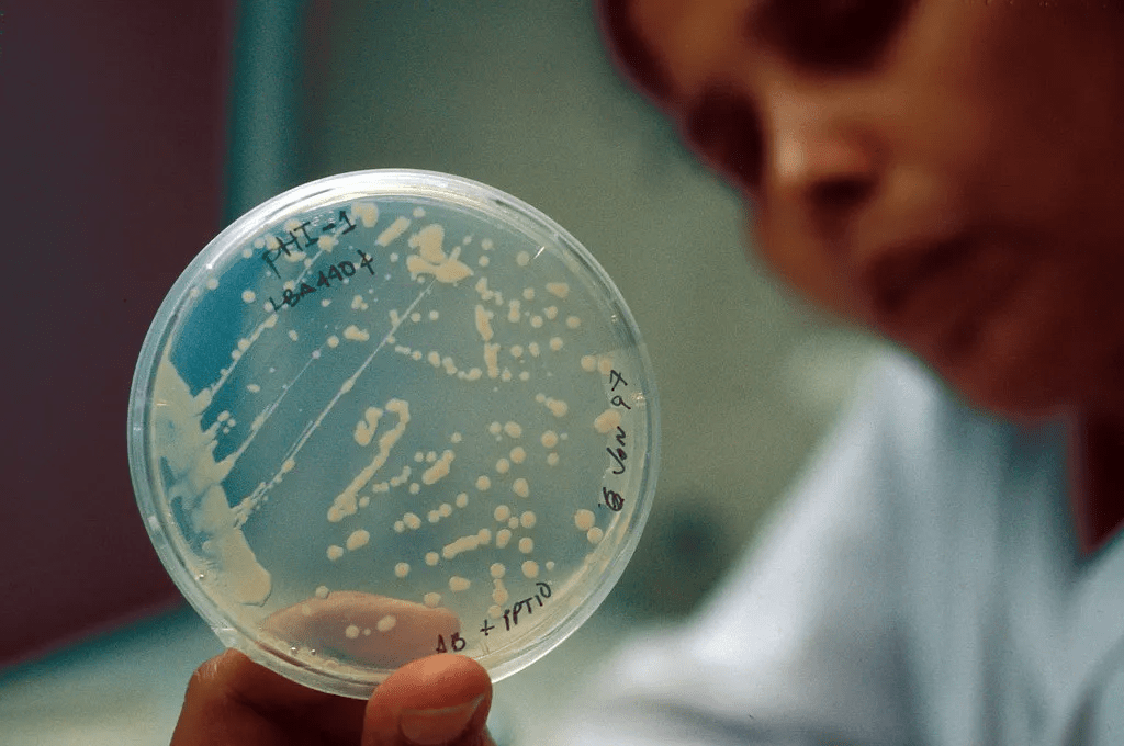 Microorganisms - Harvard University