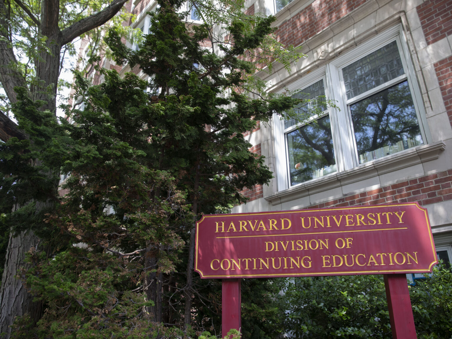 Professional and Lifelong Learning - Harvard University