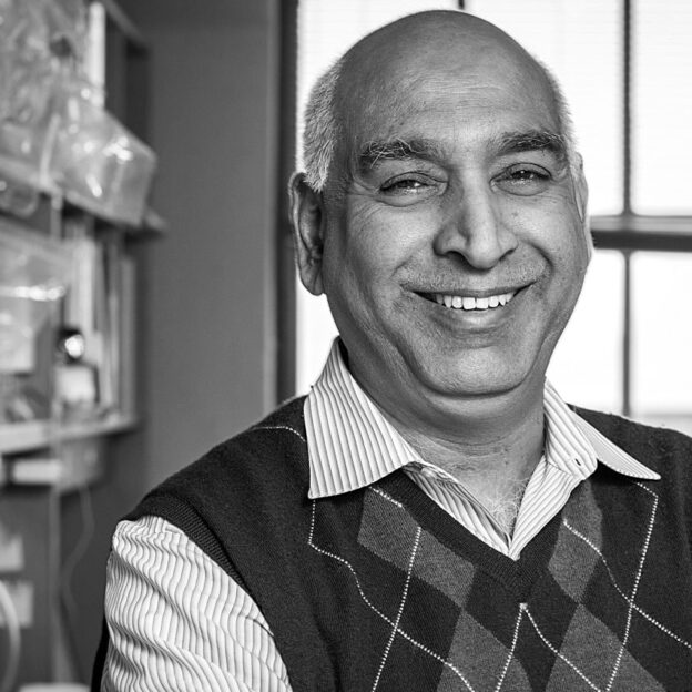 Immune System - Harvard University