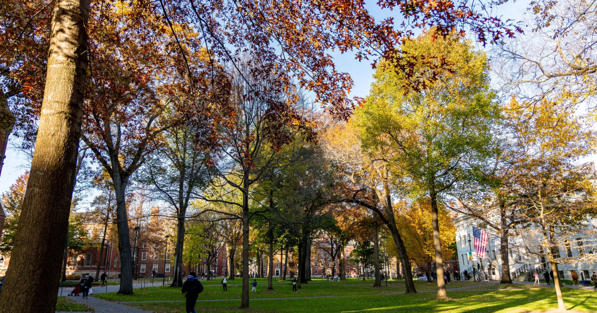 Arthur M. Sackler Building and Arthur M. Sackler Museum - Harvard ...