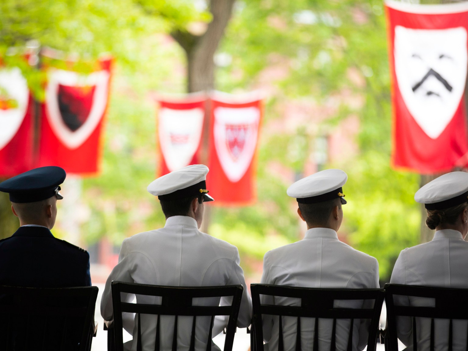 Public Service, Public Good - Harvard University